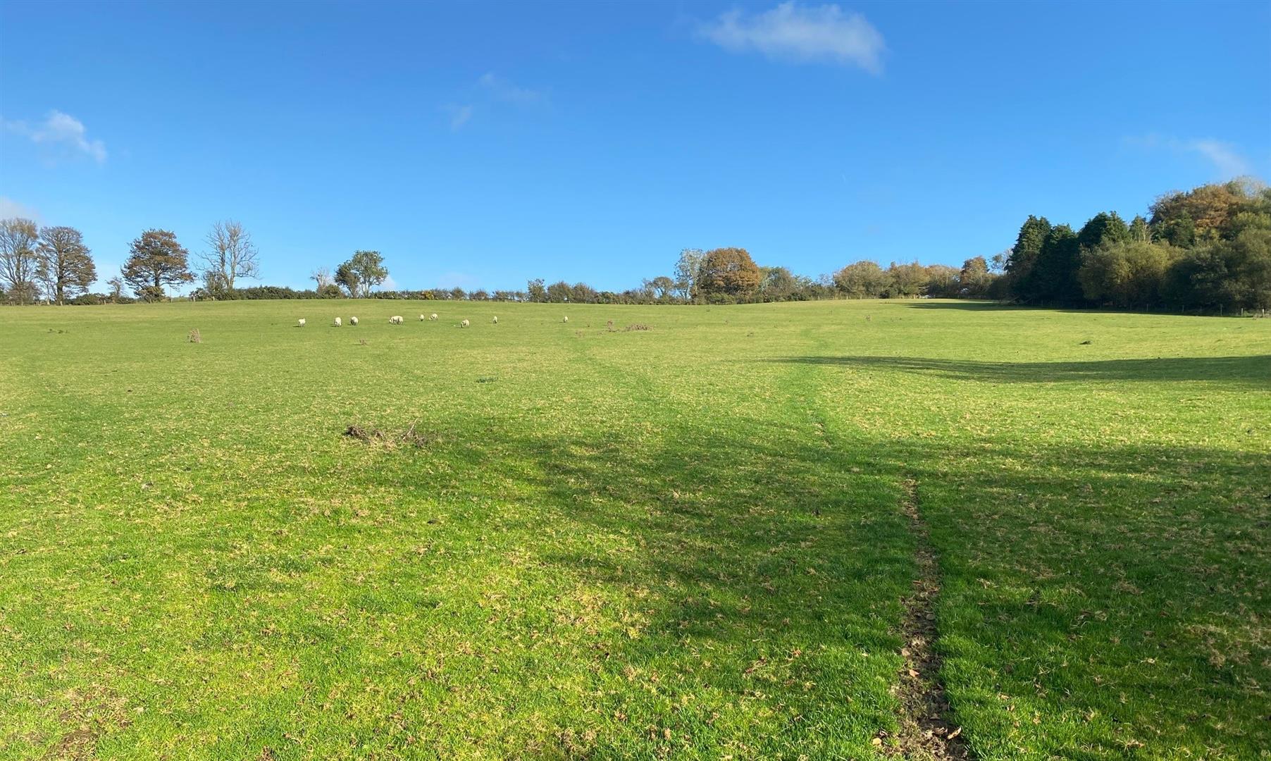 Boncath – JJMorris